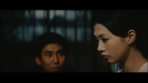 A Journey Through the Eclipse Series: Nagisa Oshima’s PLEASURES OF THE FLESH