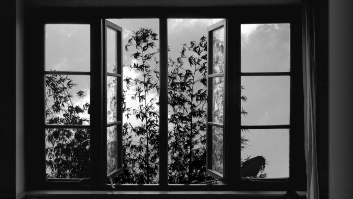 Trevor Reviews Abbas Kiarostami’s 24 Frames [Criterion Collection Blu ...