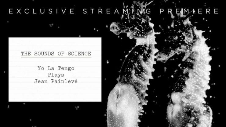 February 2023 Programming on the Criterion Channel Announced