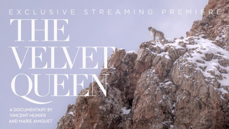 February 2023 Programming on the Criterion Channel Announced